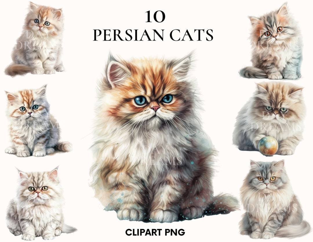 Persian Cat Clipart, Watercolor Cat Clipart Bundle, Kitten Clipart ...