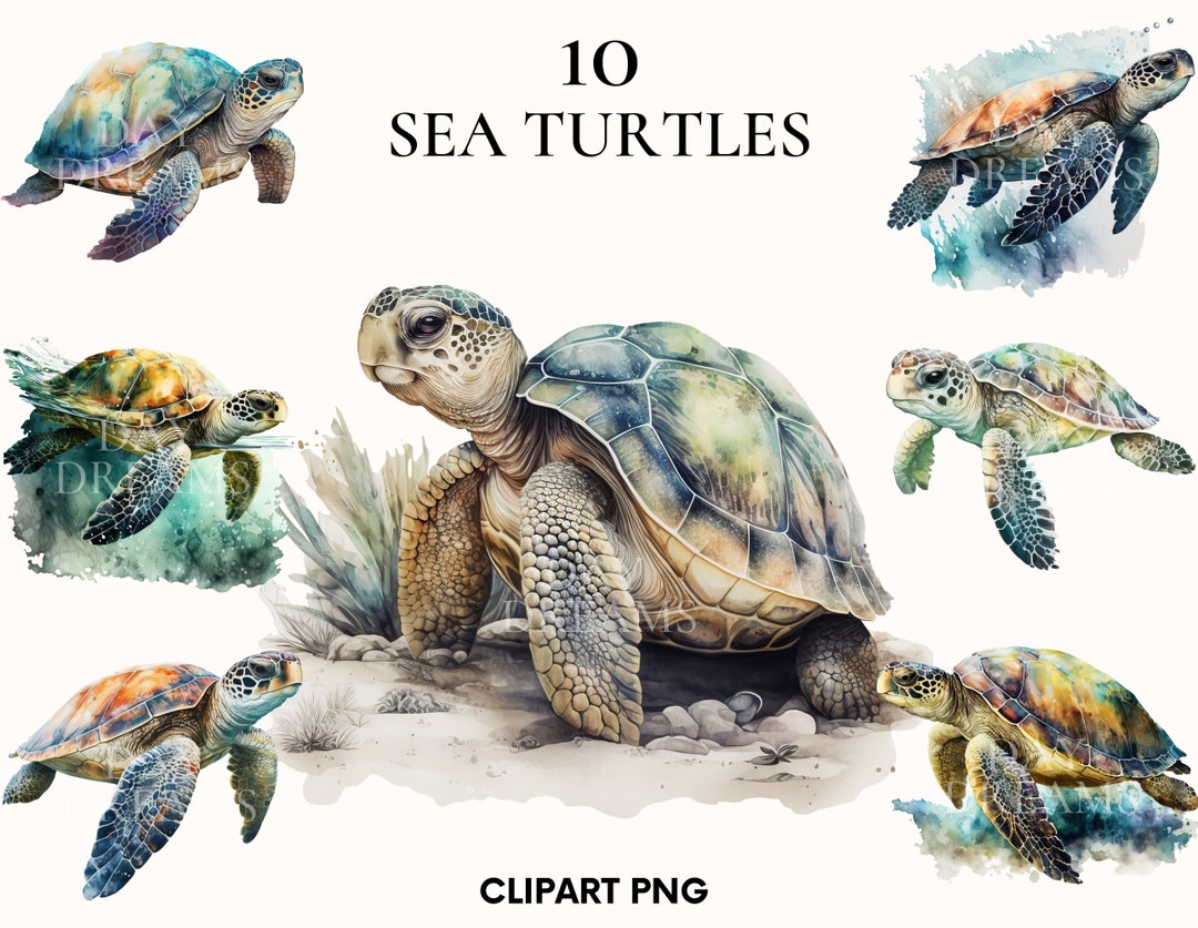 Watercolor Sea Turtles Clipart, Cute Turtle Clipart Bundle, Sea Animal ...