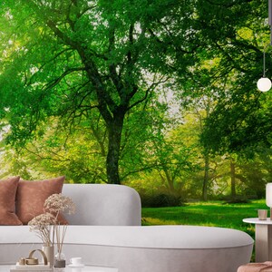 Green Trees Forest Nature Photo Wallpaper for Living Room Bedroom Home ...