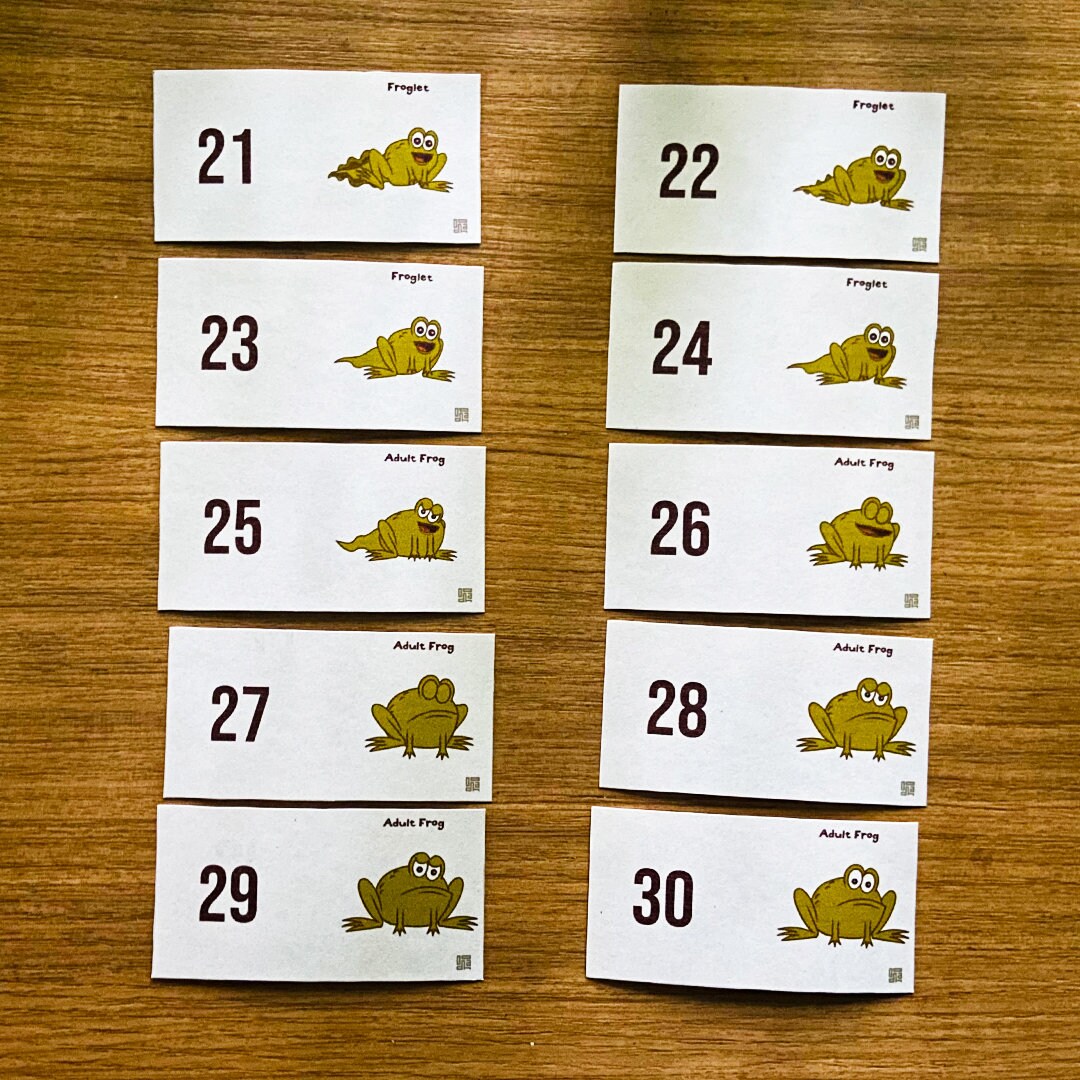 Frog Life Cycle Flipbook, Printable Toad Life Cycle Craft for Frog Unit ...