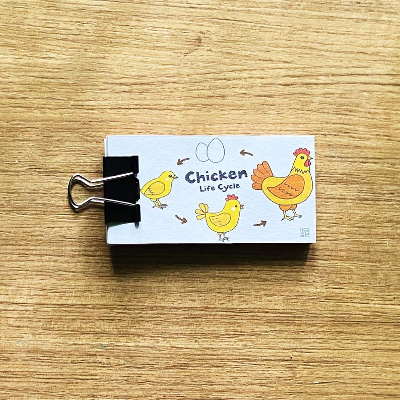 Life Cycle of a Chicken Flipbook, Chicken Life Cycle Learning Activity ...