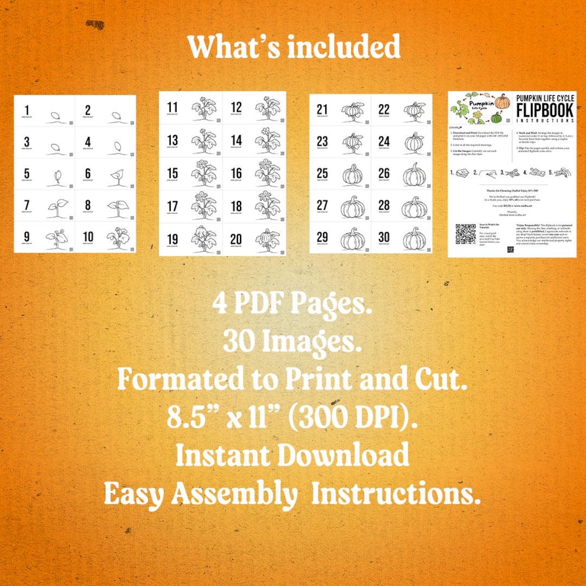 Pumpkin Life Cycle Activity Flipbook With Coloring Pages, Printable ...