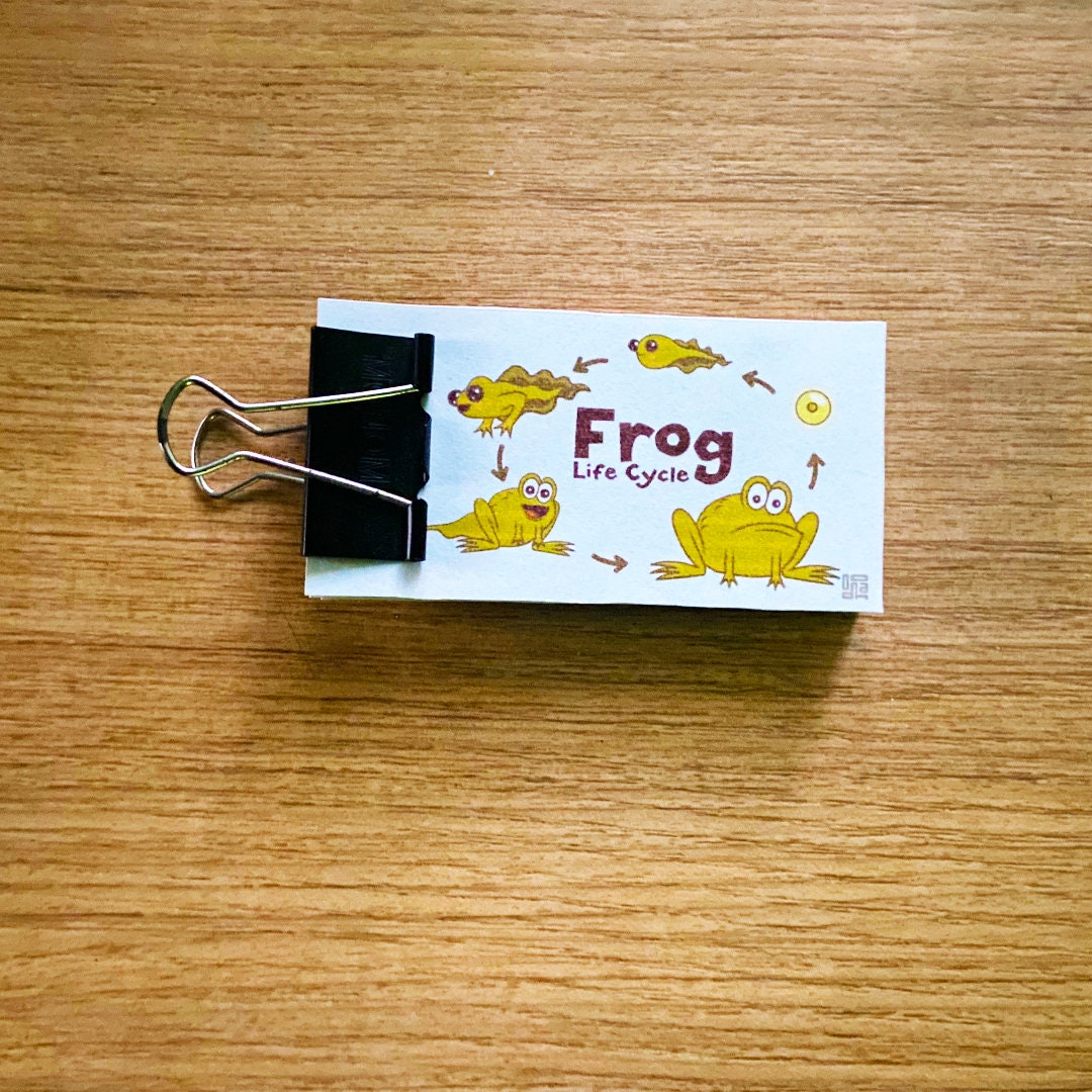 Frog Life Cycle Flipbook, Printable Toad Life Cycle Craft for Frog Unit ...