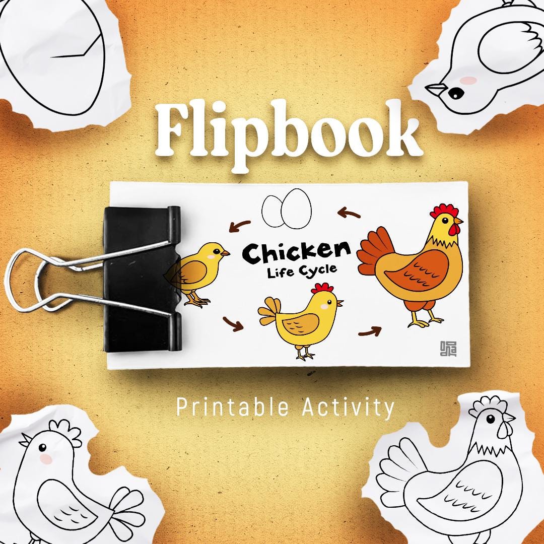 Life Cycle of a Chicken Flipbook, Chicken Life Cycle Learning Activity ...