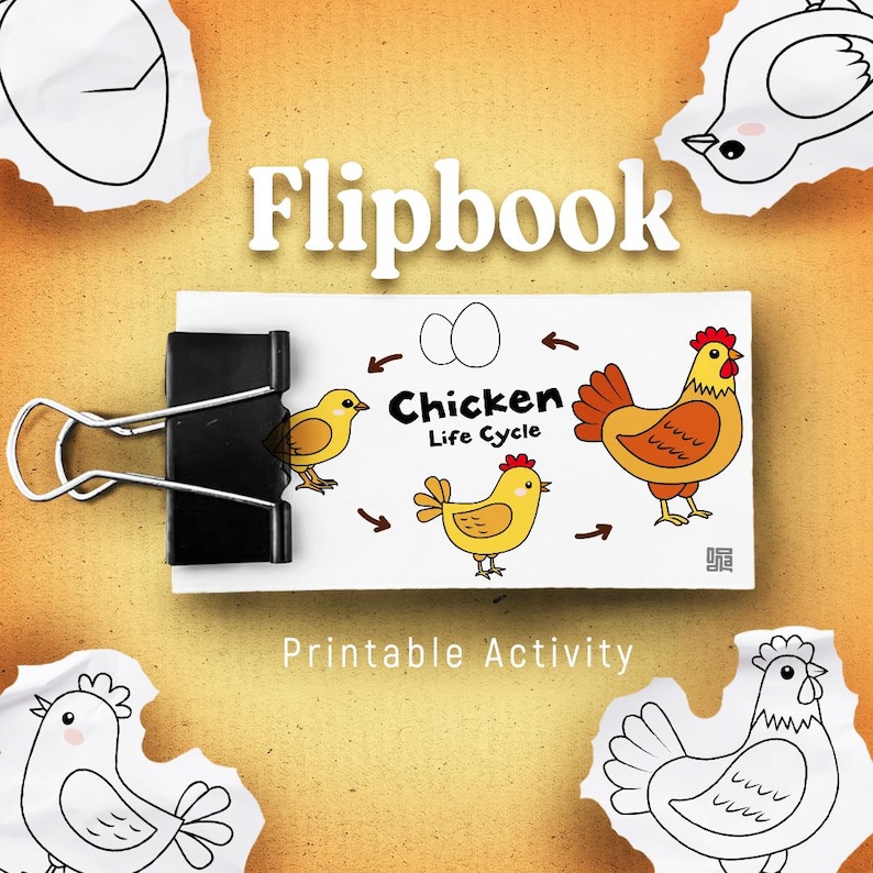 Life Cycle of a Chicken Flipbook, Chicken Life Cycle Learning Activity ...