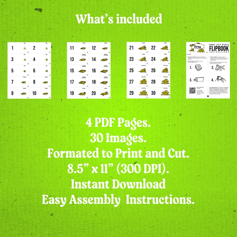 Frog Life Cycle Flipbook, Printable Toad Life Cycle Craft for Frog Unit ...