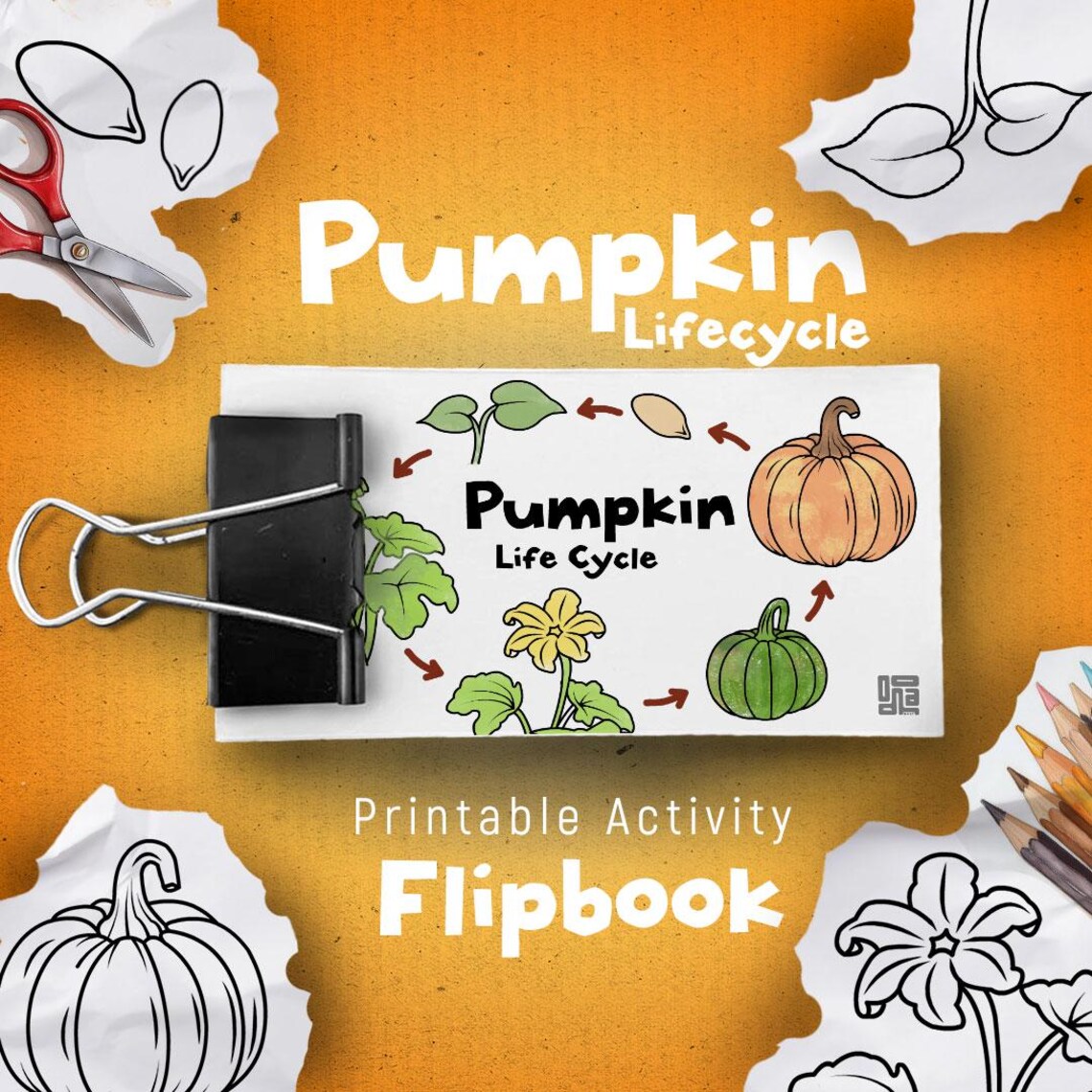Pumpkin Life Cycle Activity Flipbook With Coloring Pages, Printable ...
