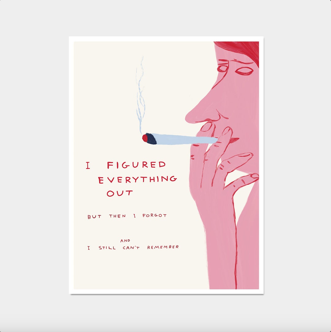 David Shrigley Print. I Figured Everything Out. Funny Wall Poster ...