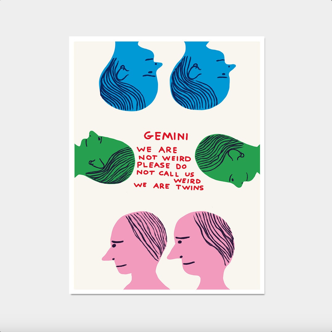 David Shrigley Art. Gemini Print. Kitchen Wall Decor. Contemporary Wall ...