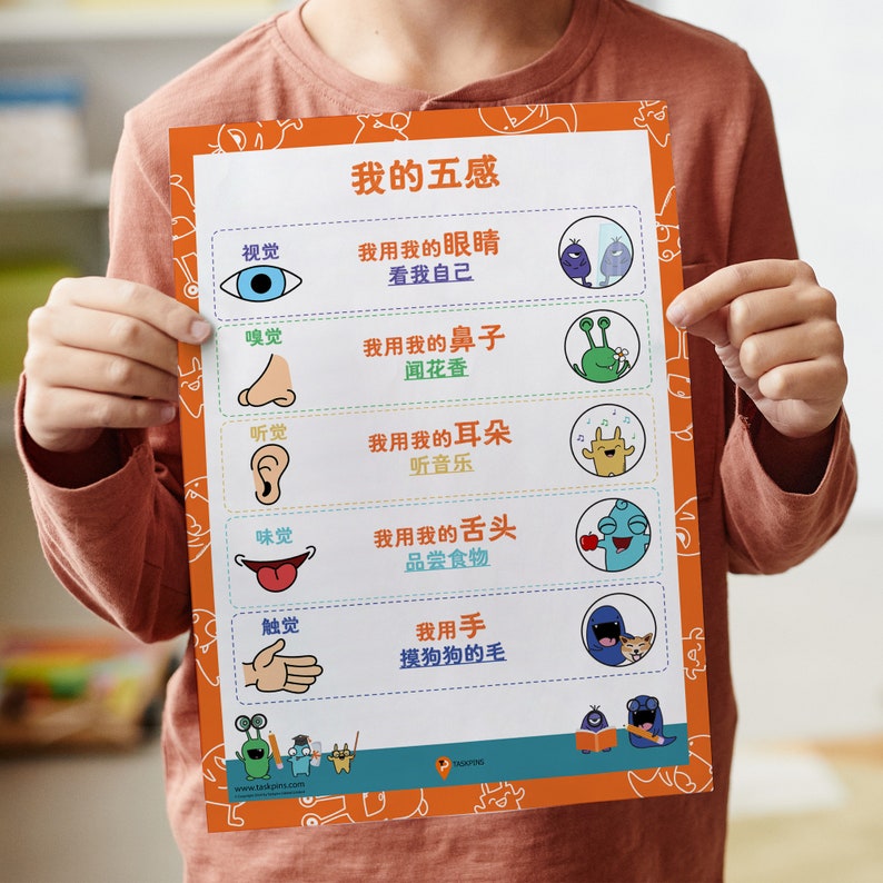 5 Senses Simplified Chinese Kids 我的五种感官 Science Five Senses Print ...