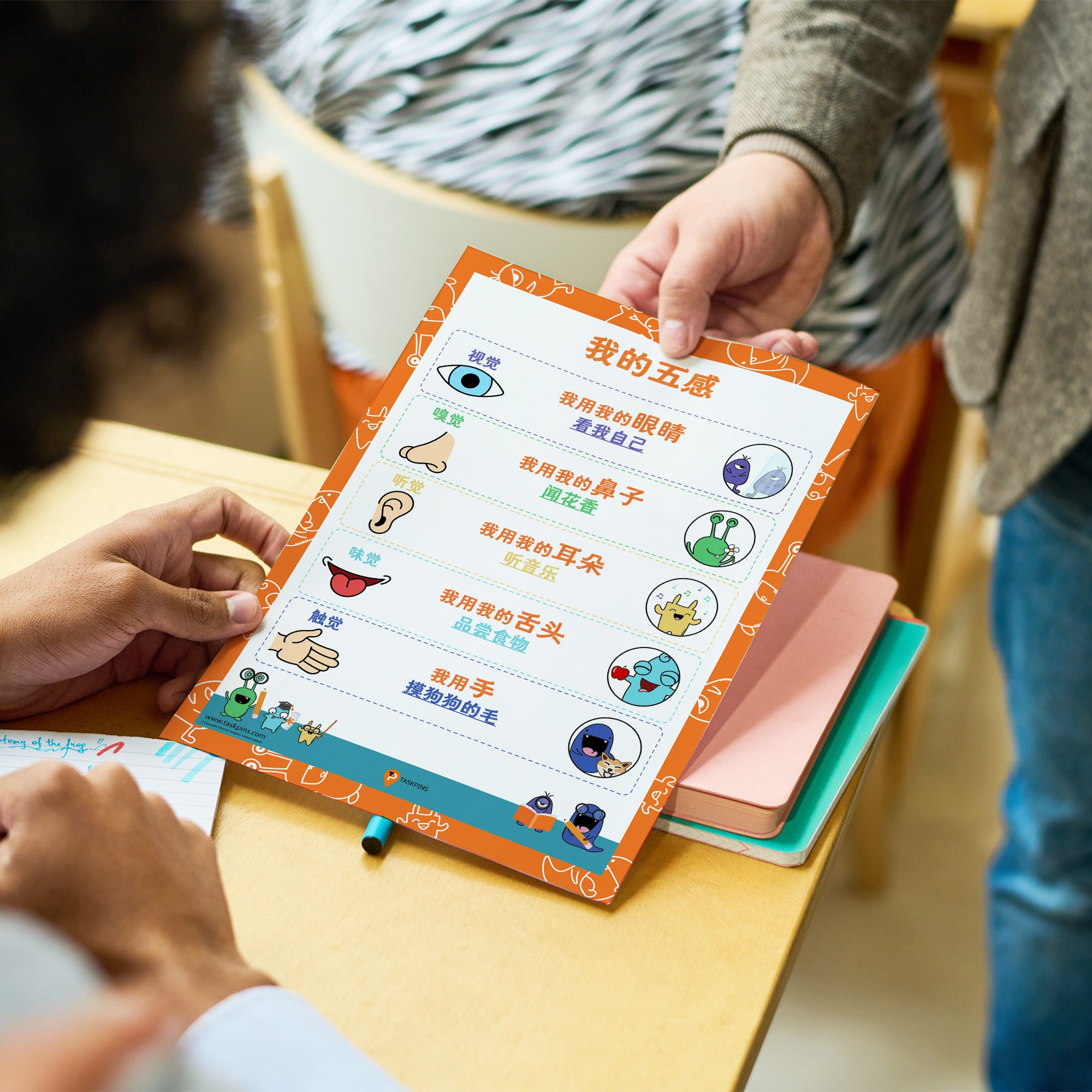 5 Senses Simplified Chinese Kids 我的五种感官 Science Five Senses Print ...