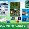 Habitat Matching Cards; Habitat Sorting Activity; Match the Animal to ...