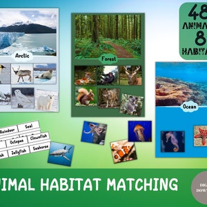 Animal Habitat Match for Kids, Realistic Animal Sorting, Homeschool ...