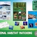 Animal Habitat Match for Kids, Realistic Animal Sorting, Homeschool ...