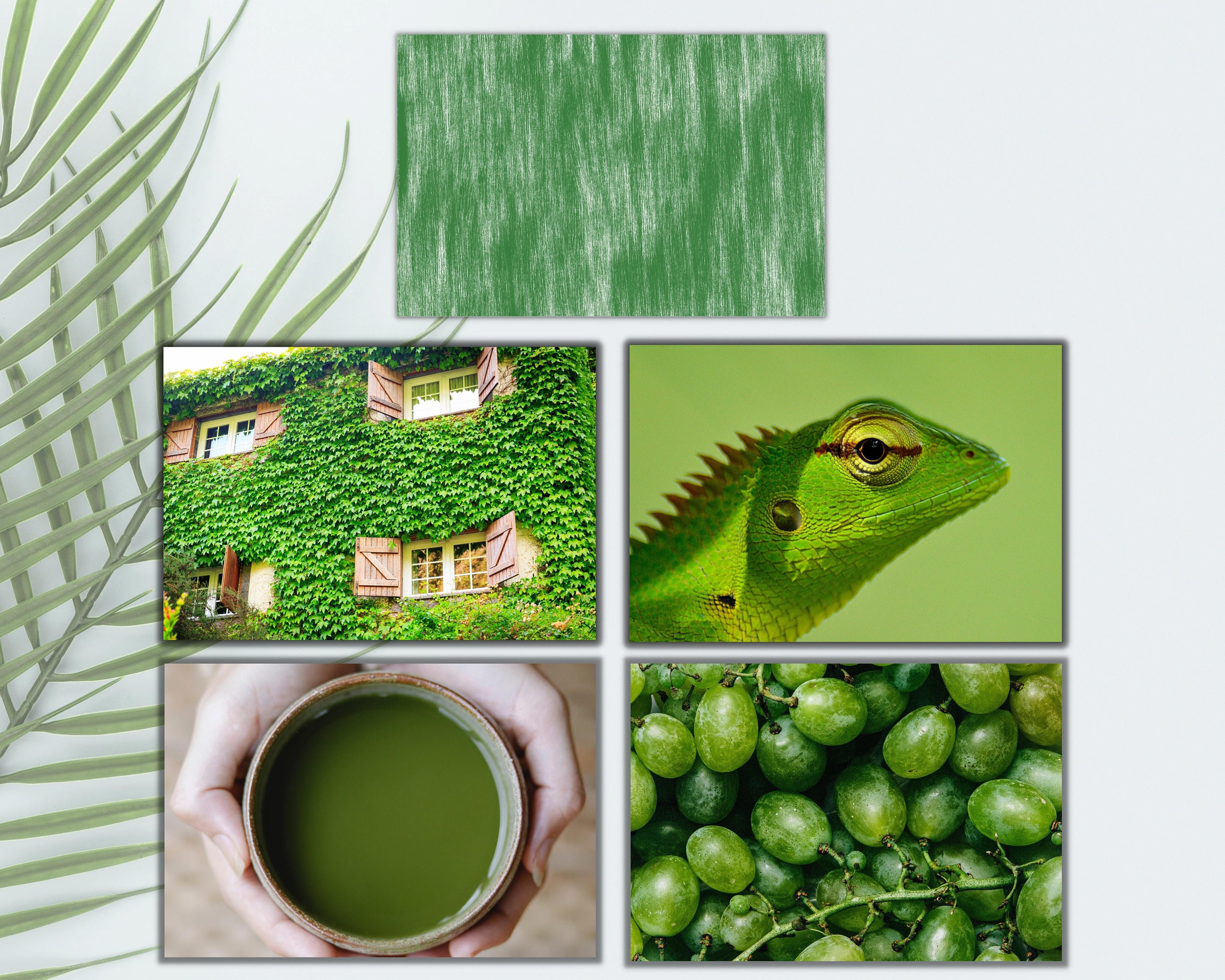 Color Sorting and Matching Printable Montessori Activity Cards for ...