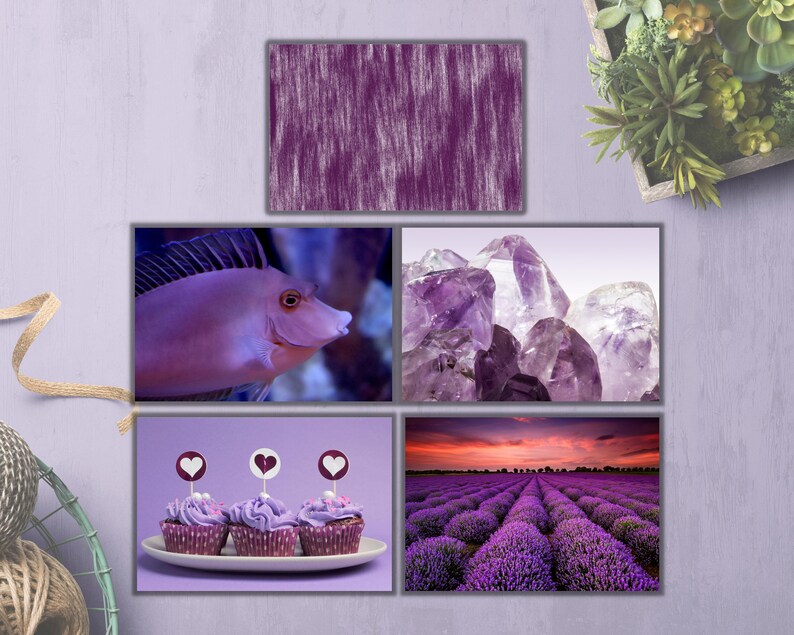 Color Sorting and Matching Printable Montessori Activity Cards for ...