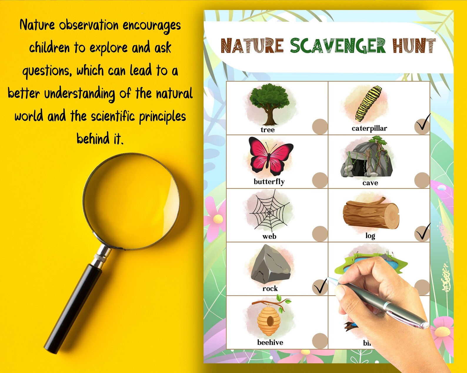 Nature Flashcards and Activity Pages for Kids, Nature Bundle for ...