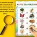 Nature Flashcards and Activity Pages for Kids, Nature Bundle for ...