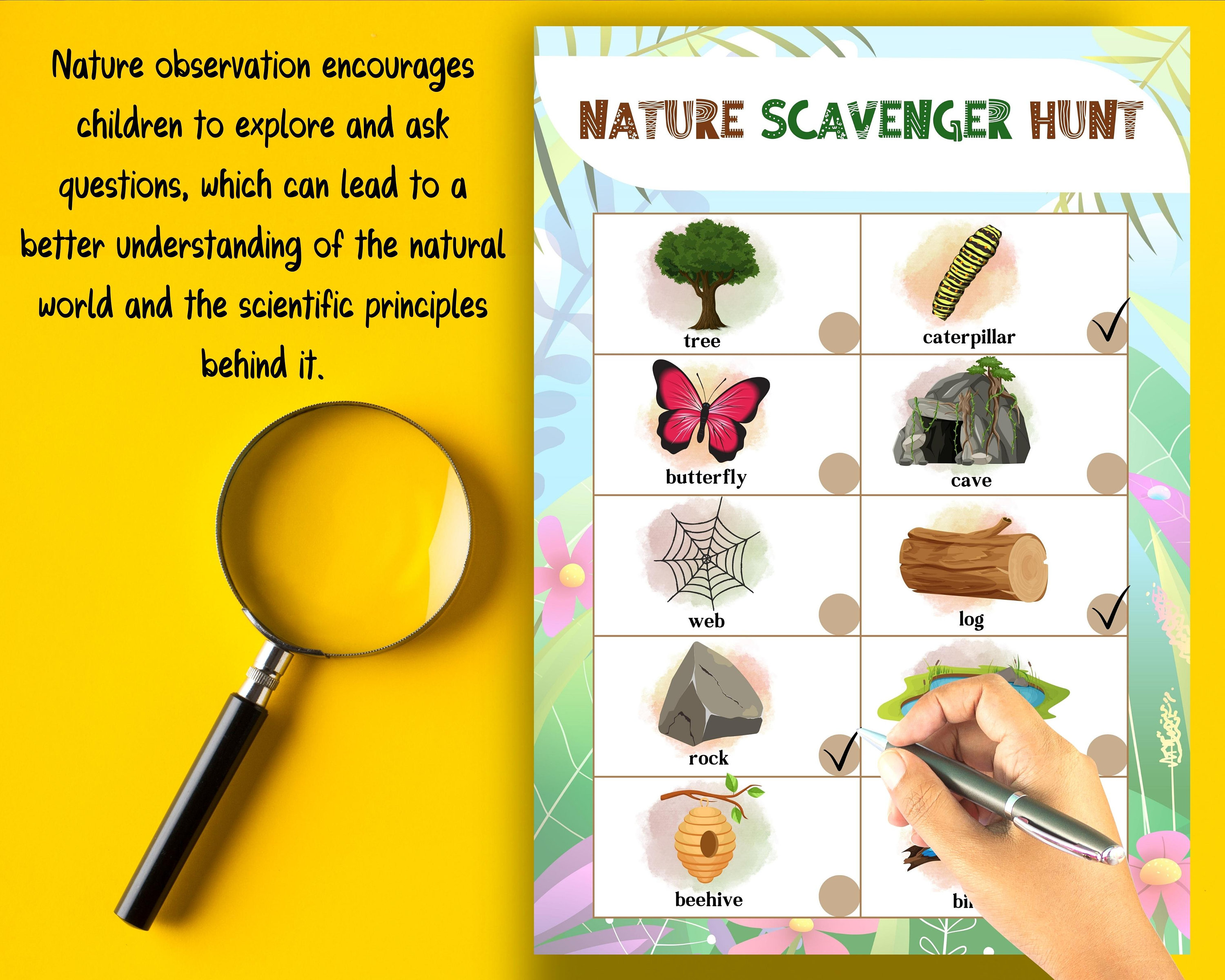Nature Flashcards and Activity Pages for Kids, Nature Bundle for ...