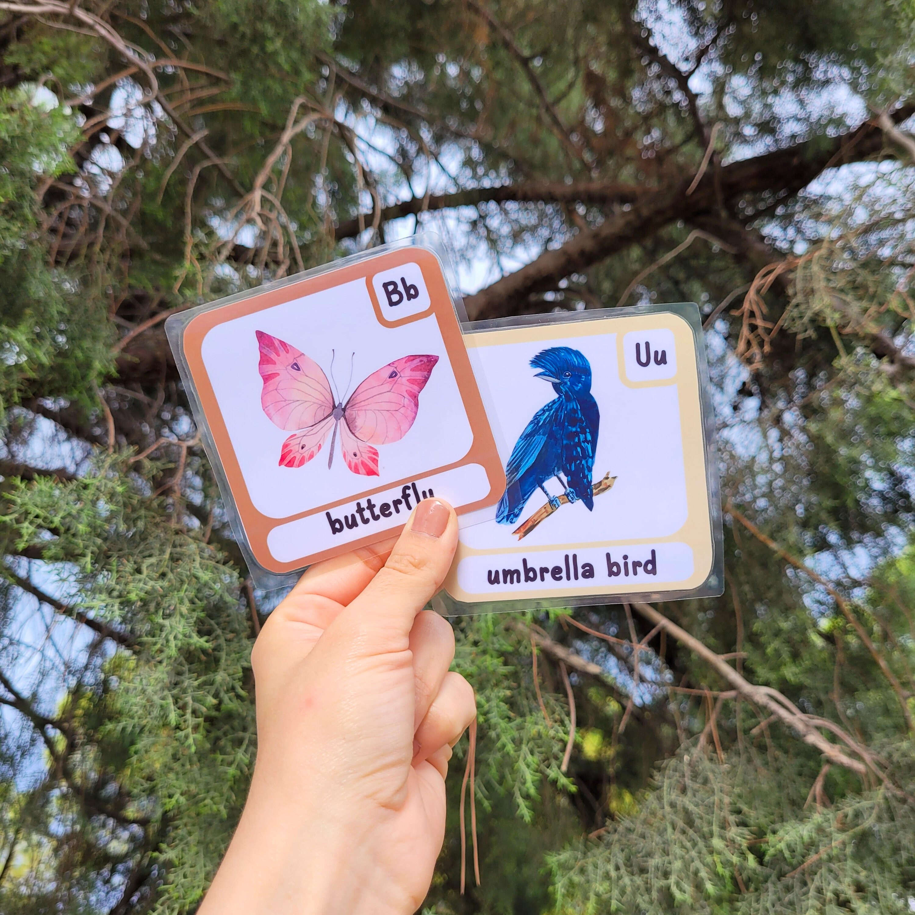 Watercolor Animal Alphabet Flashcards for Kids, Preschool Alphabet ...