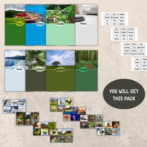 Animal Habitat Match for Kids, Realistic Animal Sorting, Homeschool ...