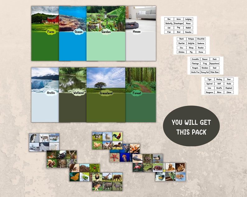 Animal Habitat Match for Kids, Realistic Animal Sorting, Homeschool ...