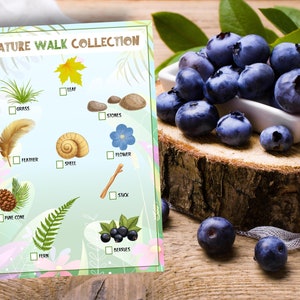 Nature Flashcards and Activity Pages for Kids, Nature Bundle for ...