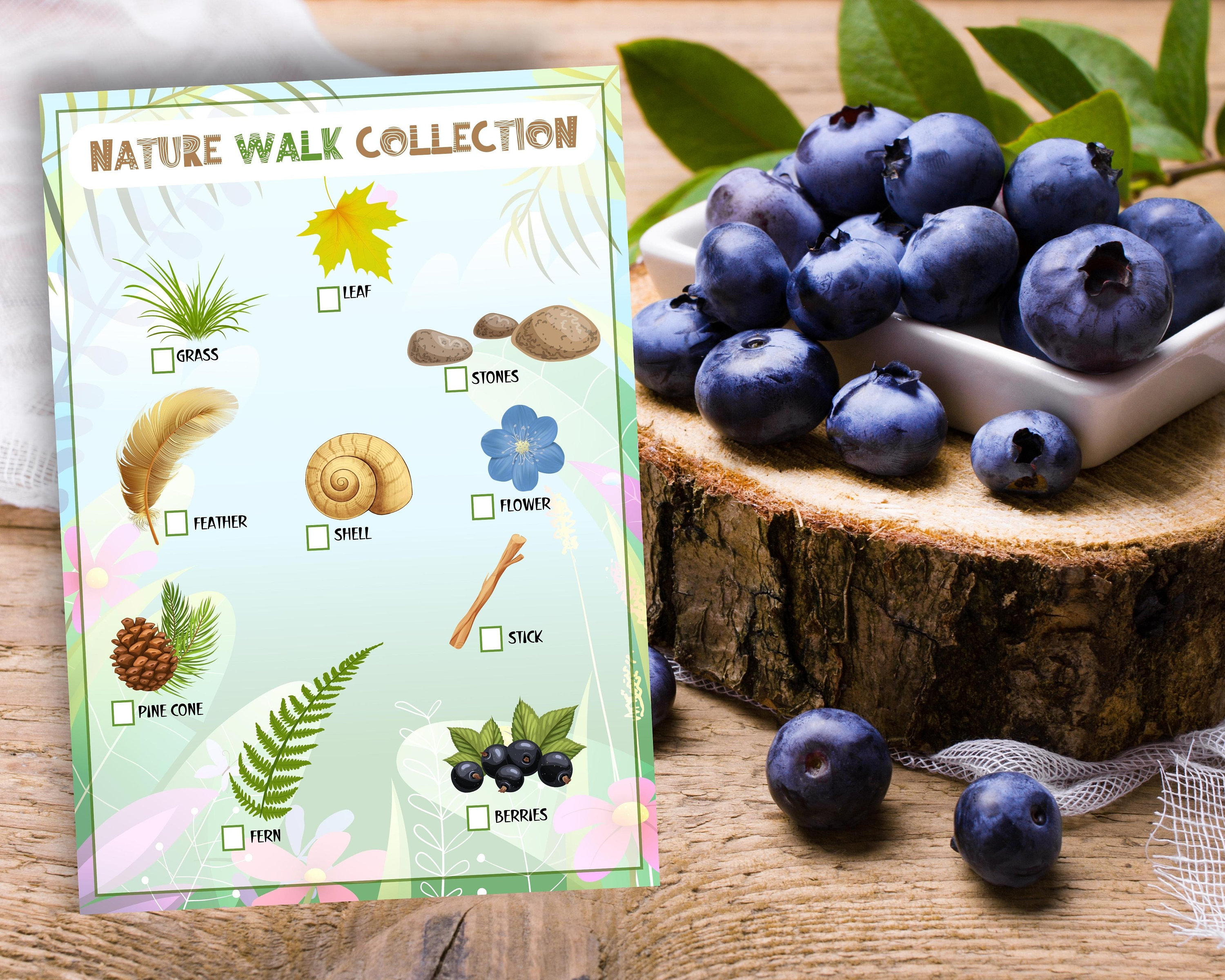 Nature Flashcards and Activity Pages for Kids, Nature Bundle for ...