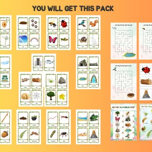 Nature Flashcards and Activity Pages for Kids, Nature Bundle for ...