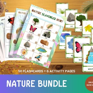 Nature Flashcards and Activity Pages for Kids, Nature Bundle for ...
