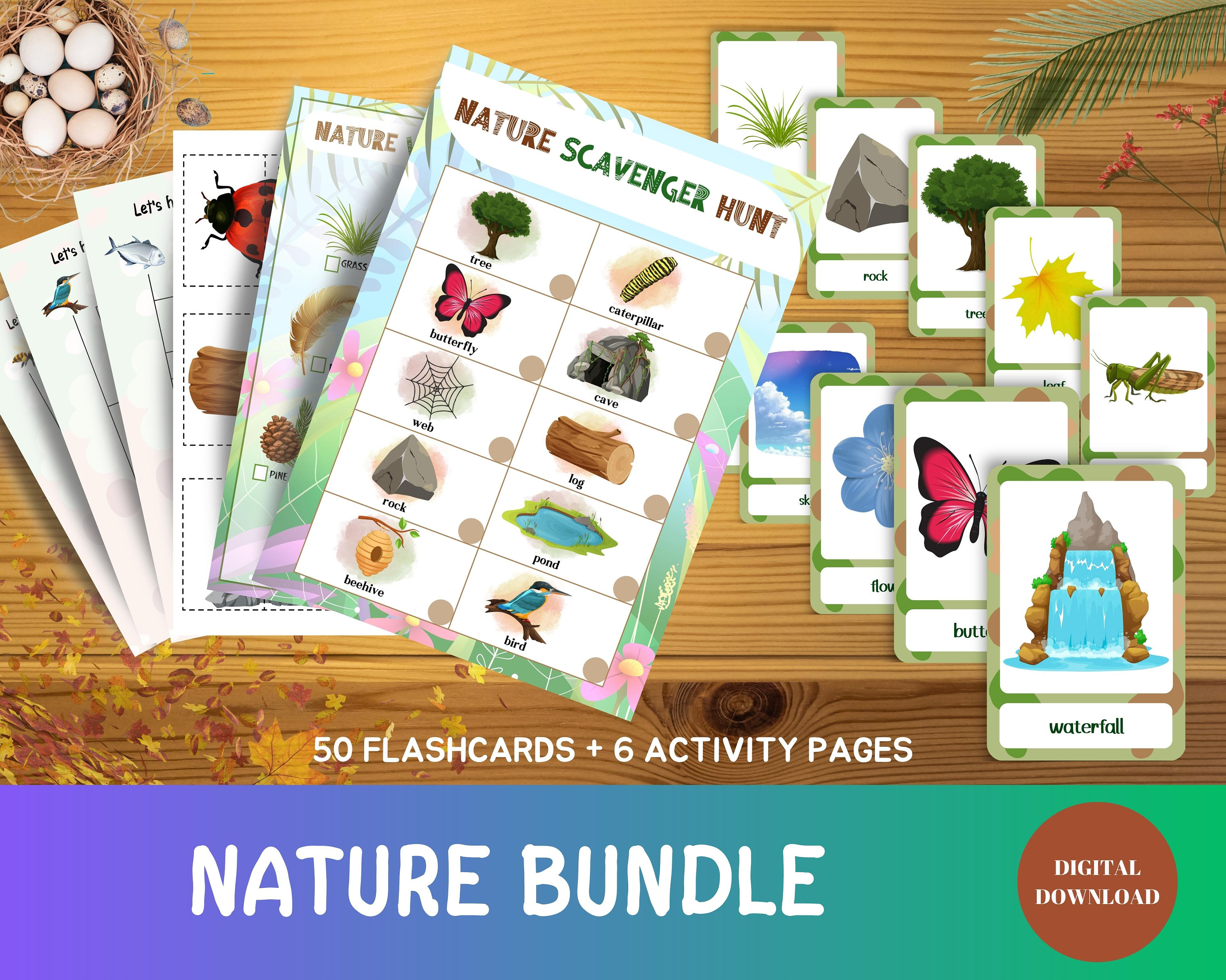 Nature Flashcards and Activity Pages for Kids, Nature Bundle for ...