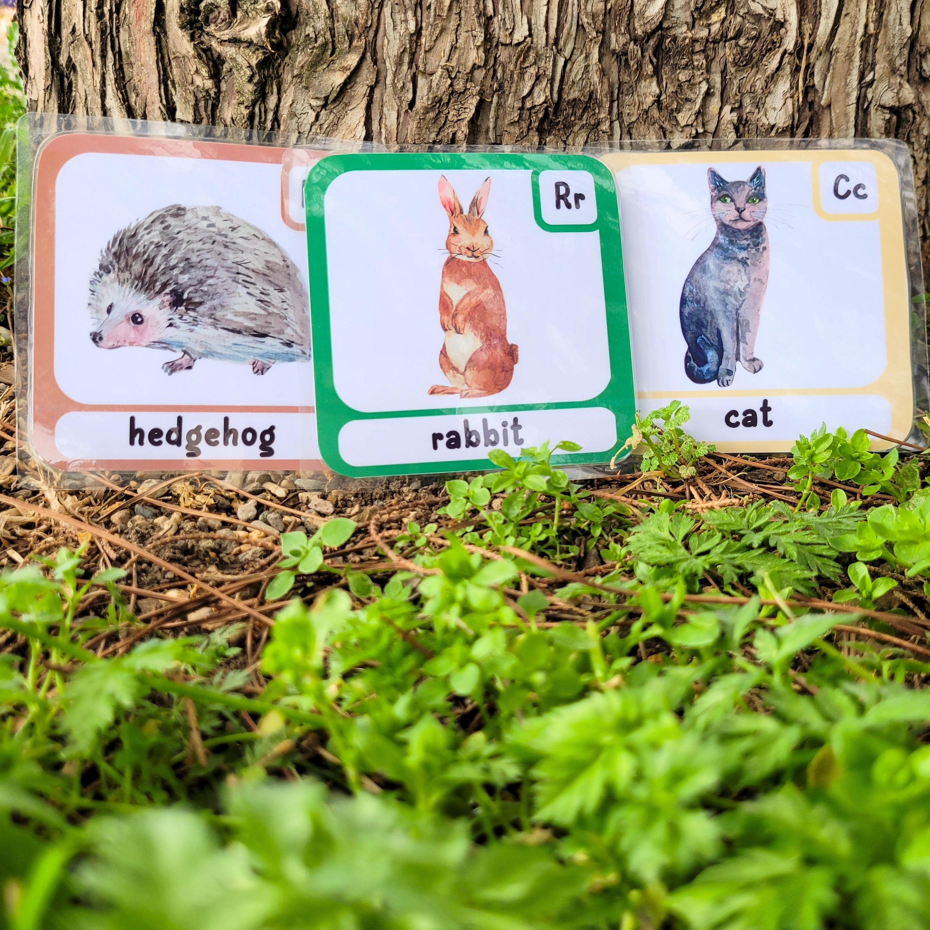 Watercolor Animal Alphabet Flashcards for Kids, Preschool Alphabet ...