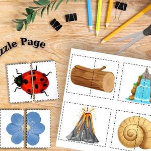 Nature Flashcards and Activity Pages for Kids, Nature Bundle for ...