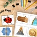 Nature Flashcards and Activity Pages for Kids, Nature Bundle for ...