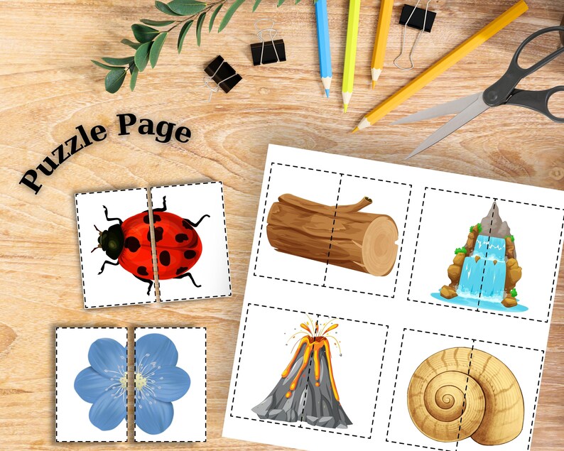 Nature Flashcards and Activity Pages for Kids, Nature Bundle for ...