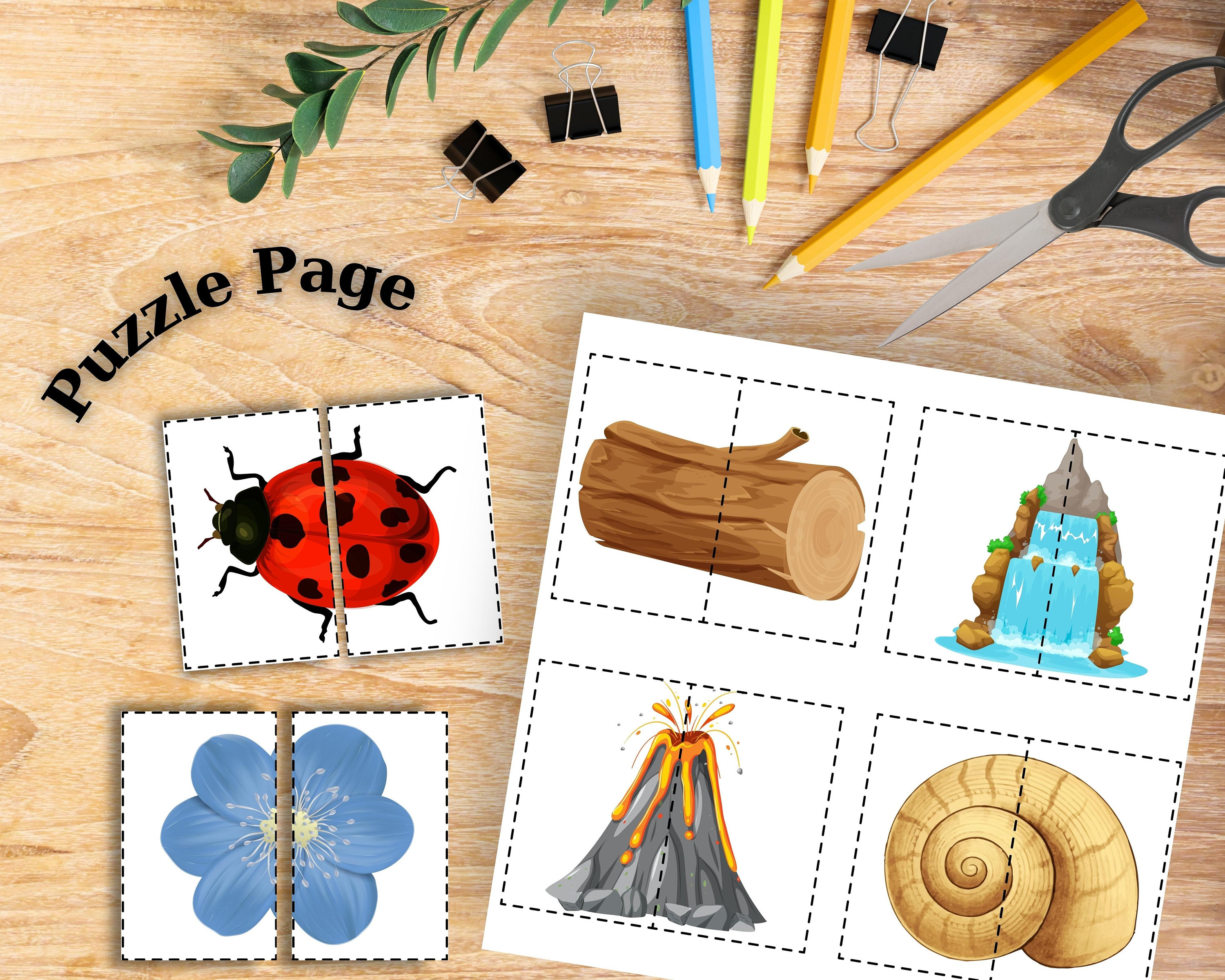Nature Flashcards and Activity Pages for Kids, Nature Bundle for ...