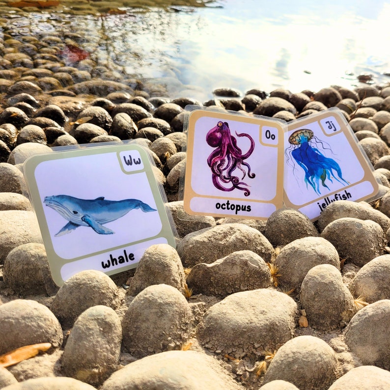 Watercolor Animal Alphabet Flashcards for Kids Preschool - Etsy