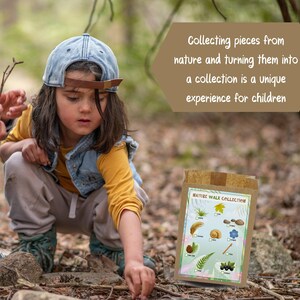 Nature Flashcards and Activity Pages for Kids, Nature Bundle for ...