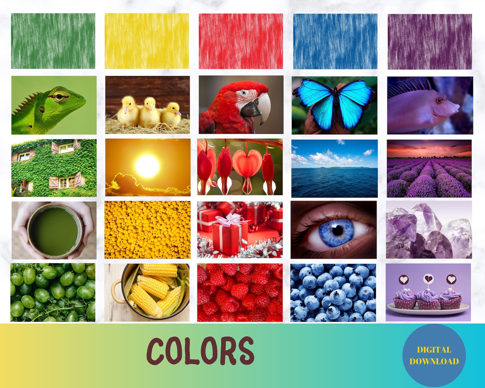 Color Sorting and Matching Printable Montessori Activity Cards for ...