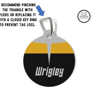 Sci Fi Dog Tag, Custom Dog Tag, Personalized Dog ID, Boldly Go, Star ...