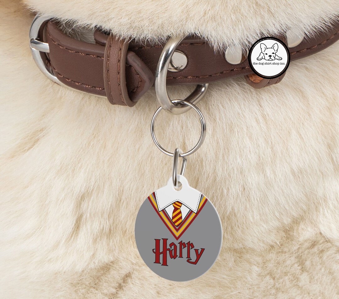 Wizard Dog Tag, Custom Dog ID, Wizard Lion House Dog Tag, Magic, Custom ...