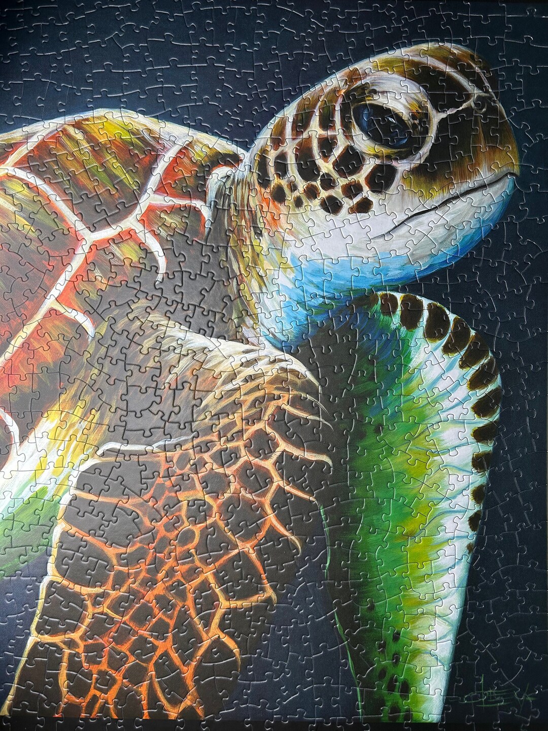 Sea Turtle 550 Piece Jigsaw Puzzle Random Cut Finger Lakes Puzzles, LLC ...