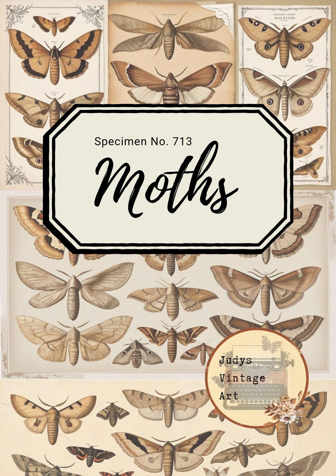 Moths Printables Digital Kit - Etsy