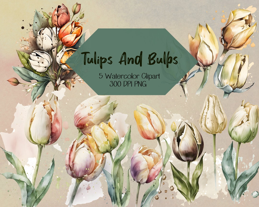 Tulip Clipart Bundle Clipart Watercolor Tulips and Tulip - Etsy Australia
