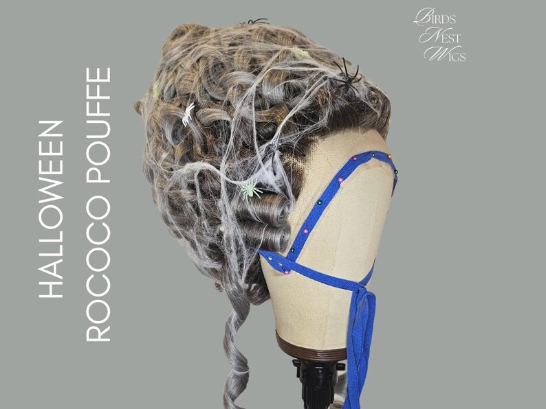 Halloween Rococo Wig: 18th Century Style With Cobweb Details - Ready to ...
