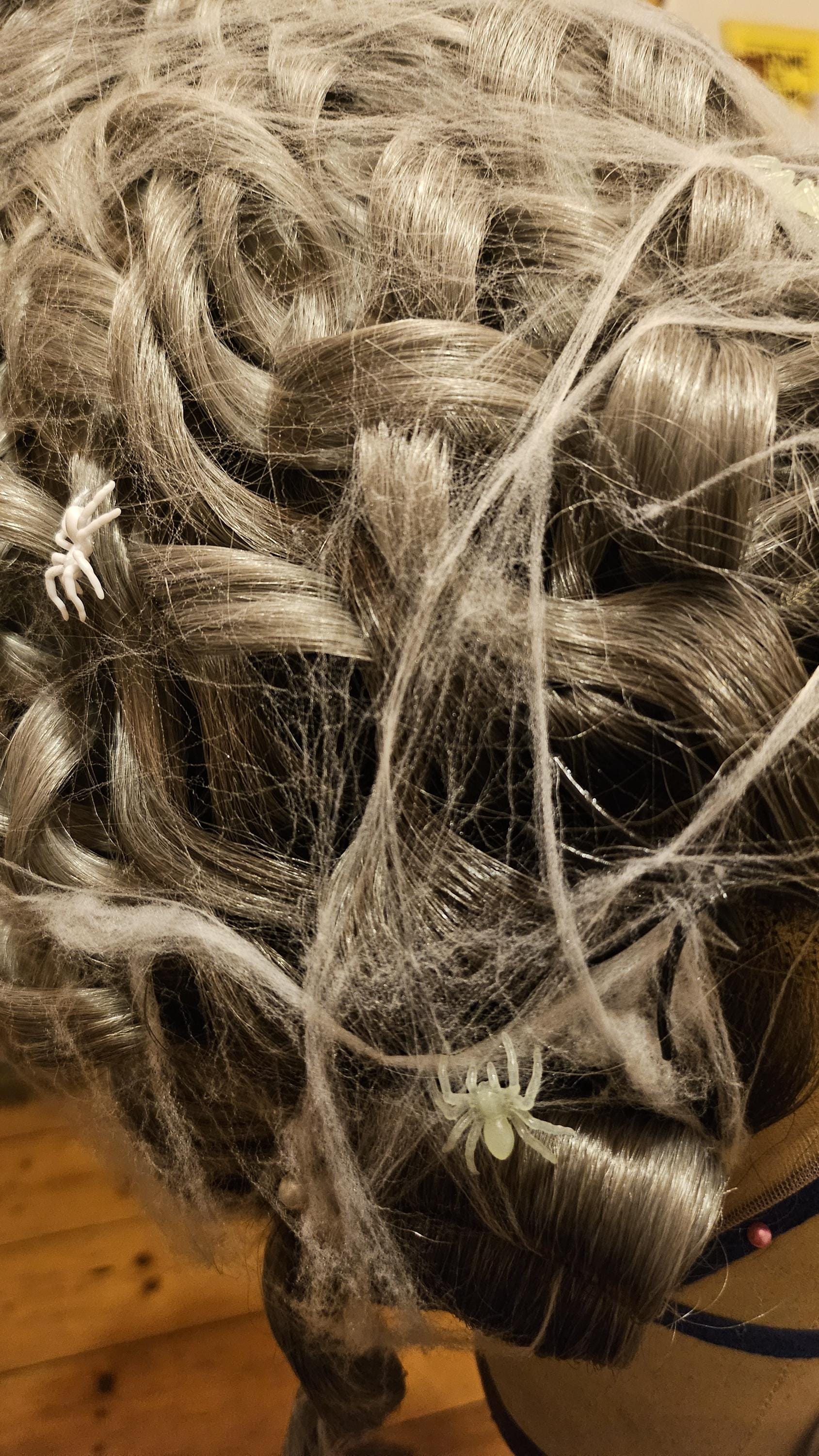 Halloween Rococo Wig: 18th Century Style With Cobweb Details - Ready to ...