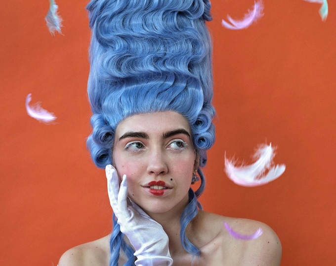 Marie Antoinette Wig Versailles French Court Parisianne Style 17th ...
