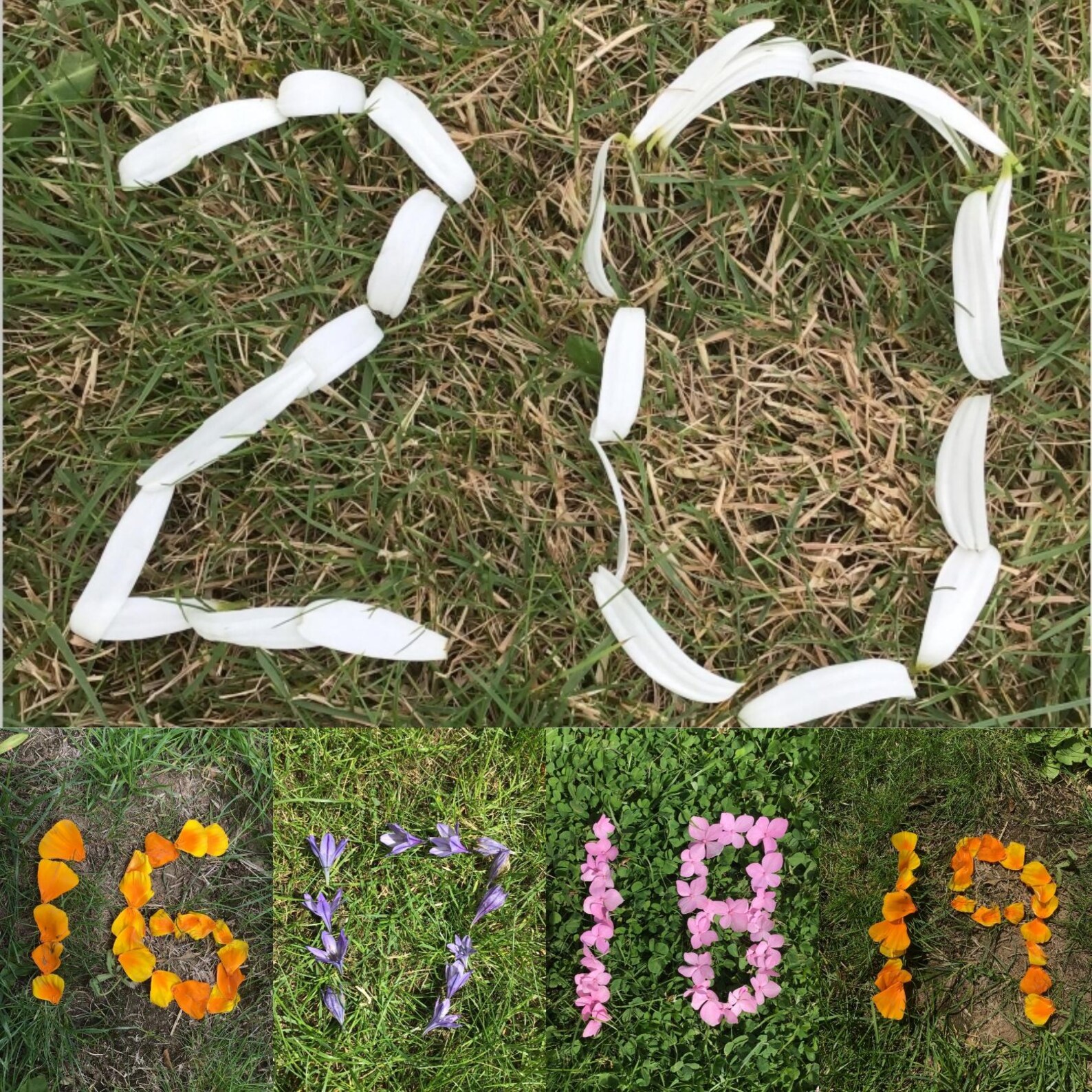 Nature Display Numbers - 1-20 - Montessori Cards - EYFS - Flowers ...