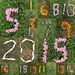 Nature Display Numbers - 1-20 - Montessori Cards - EYFS - Flowers ...