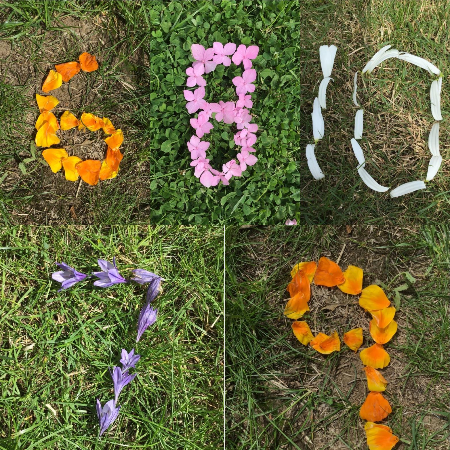 Nature Display Numbers - 1-20 - Montessori Cards - EYFS - Flowers ...